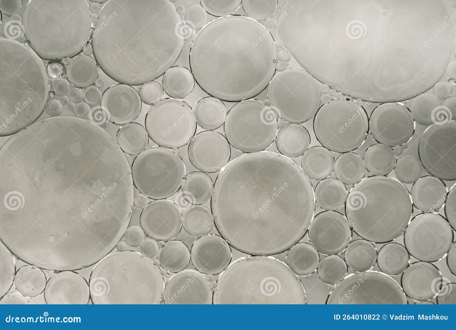Drops of Fat in Water. Bubbles of Fat Close Up Stock Photo - Image of ...