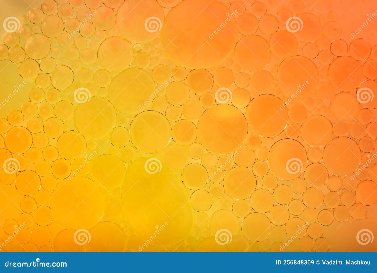 Drops of Fat in Water. Bubbles of Fat Close Up Stock Image - Image of ...
