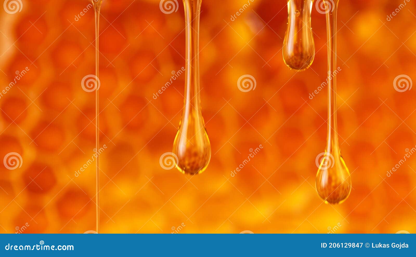 Drops of Fresh Honey Flow from the Honeycomb. Stock Image - Image of ...