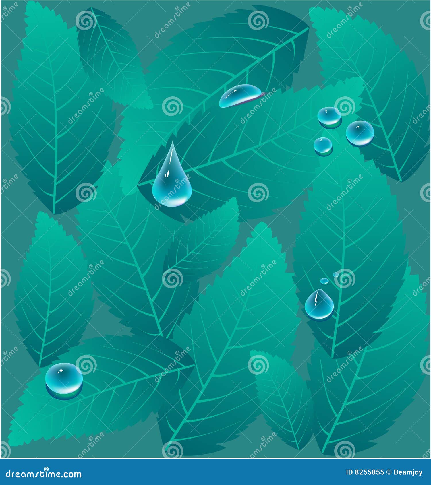Drops on leaves stock vector. Illustration of design, drop - 8255855