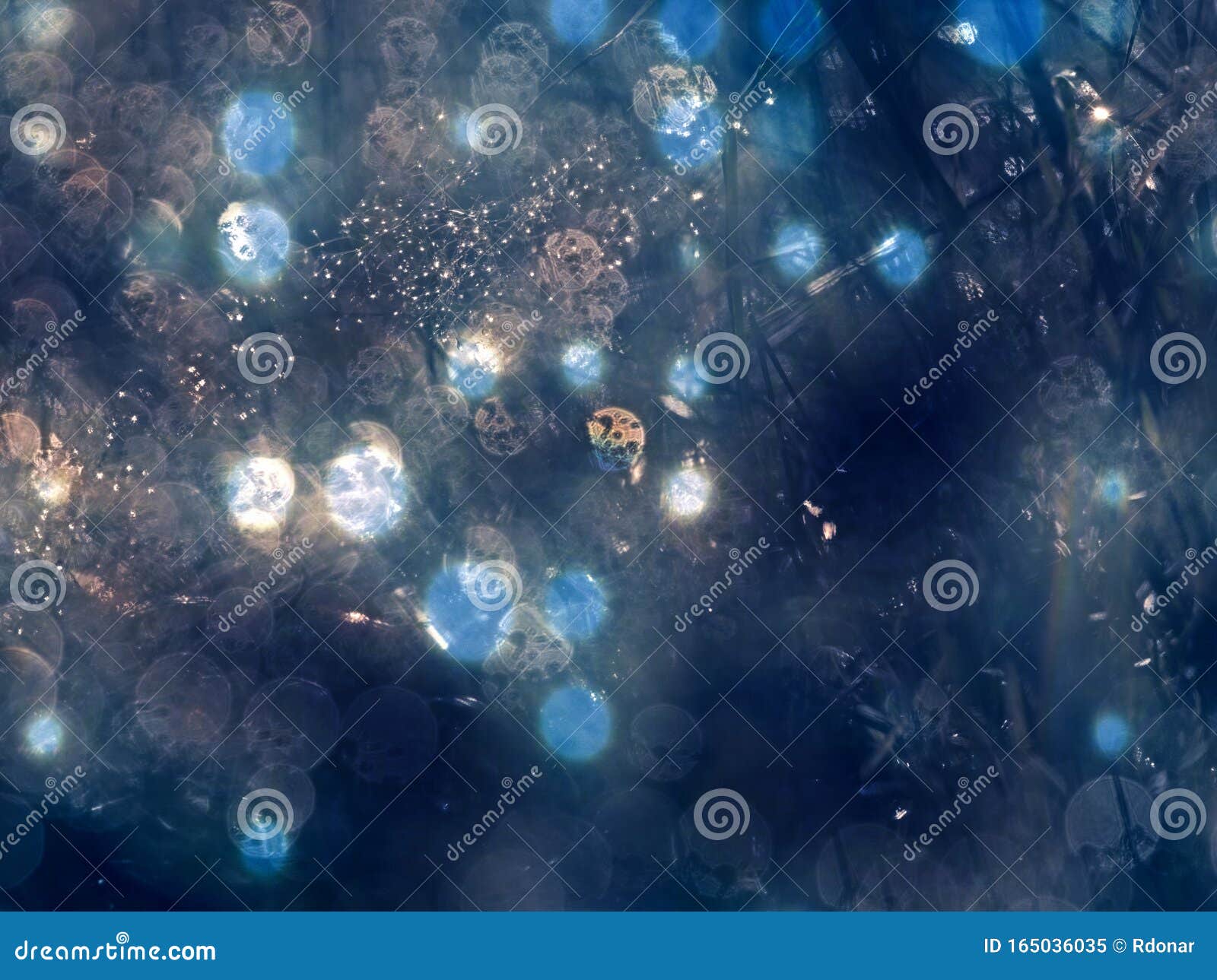 Drops Light Glitter Layout Design Can Be Use for Background Stock Image ...