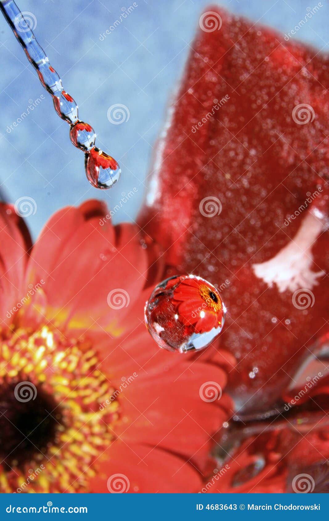 Drops of love stock image. Image of emotion, tulip, candle - 4683643