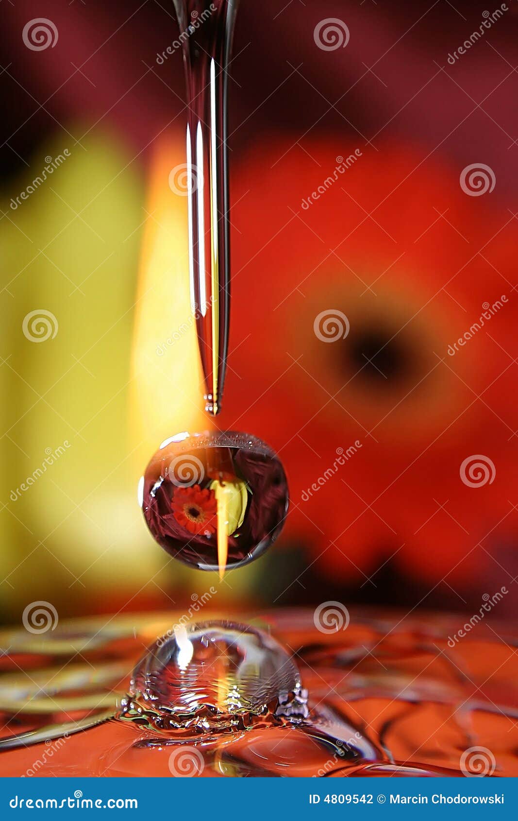 Drops of love. stock photo. Image of mirror, reflection - 4809542