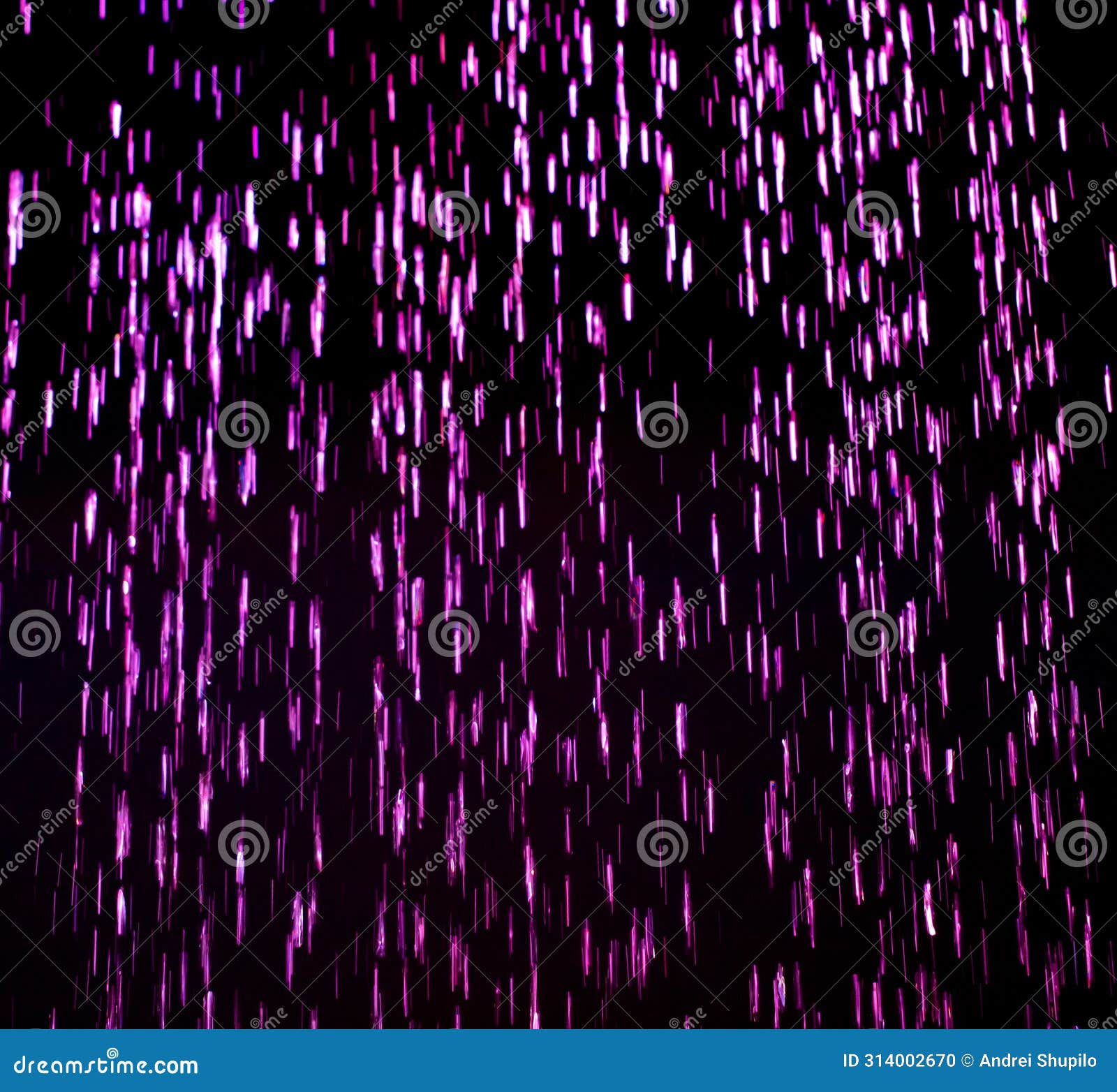 Drops of Pink Rain on a Black Background Stock Photo - Image of ...