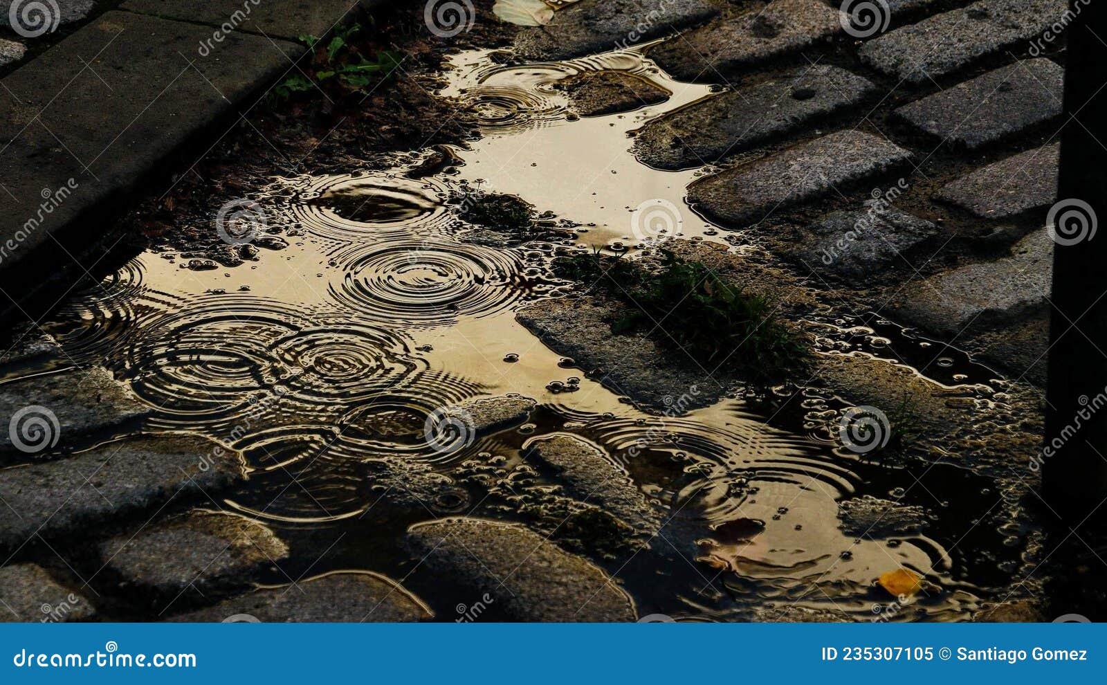 Drops on a puddle stock image. Image of geology, reflection - 235307105