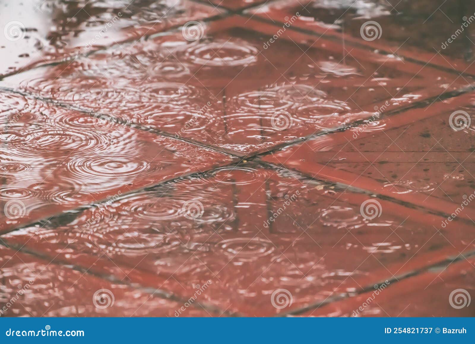 Drops and Puddles during Heavy Rain Stock Image - Image of disaster ...