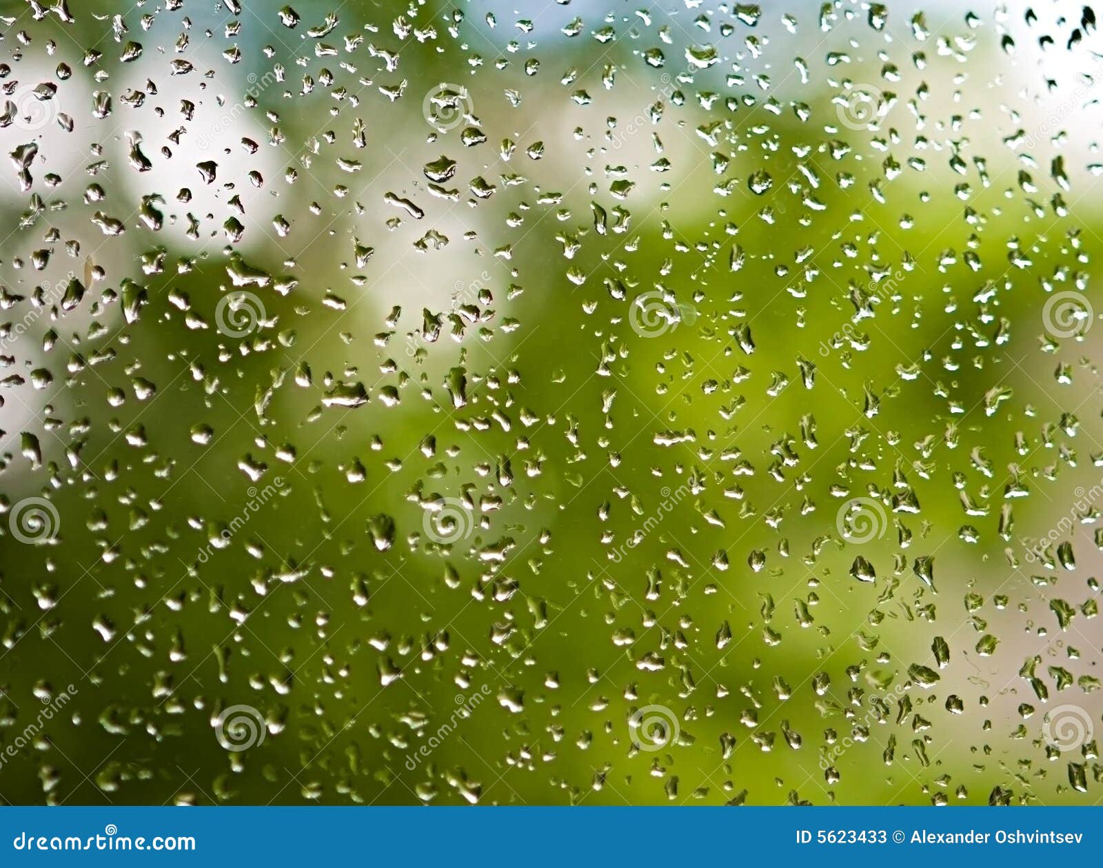 Drops of a rain stock image. Image of refraction, drop - 5623433