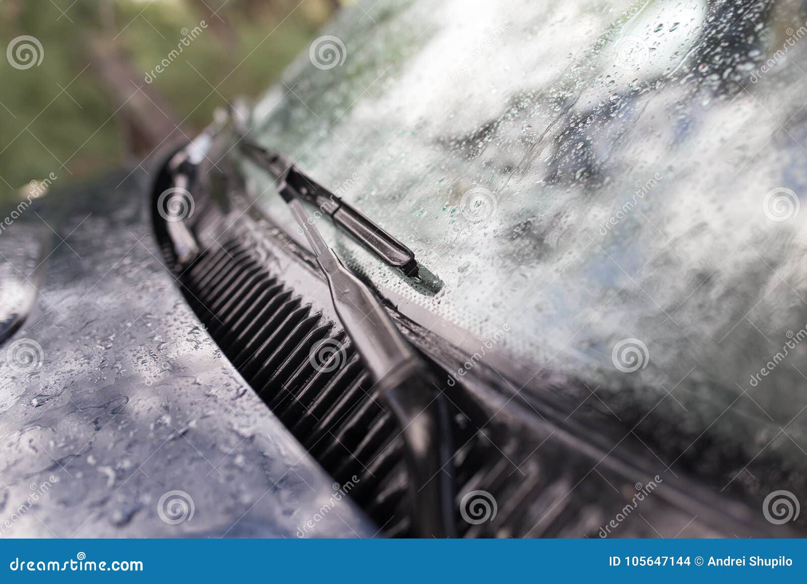 Drops after rain on a car stock photo. Image of white - 105647144