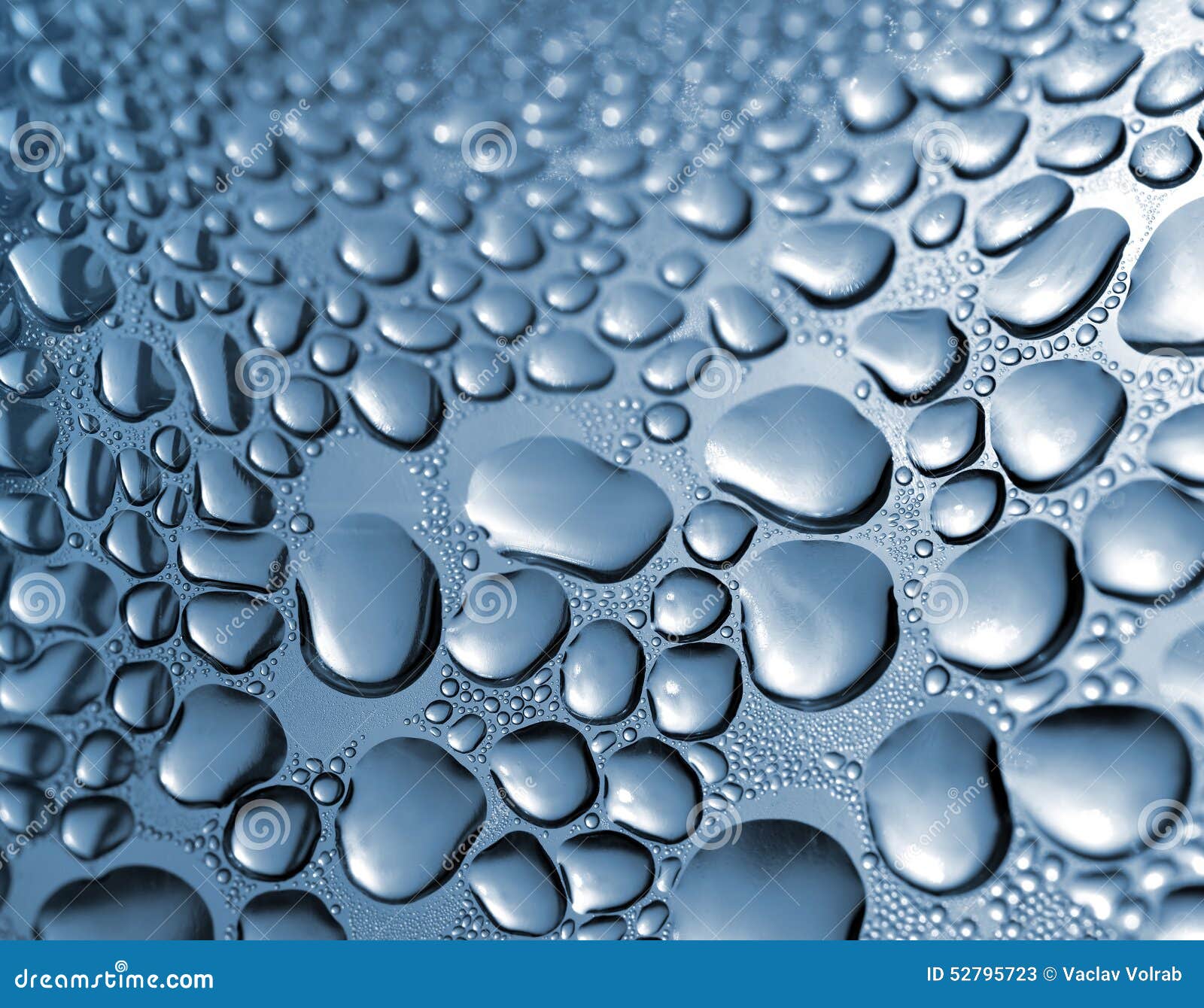 Drops of rain stock image. Image of drip, climate, freshness - 52795723