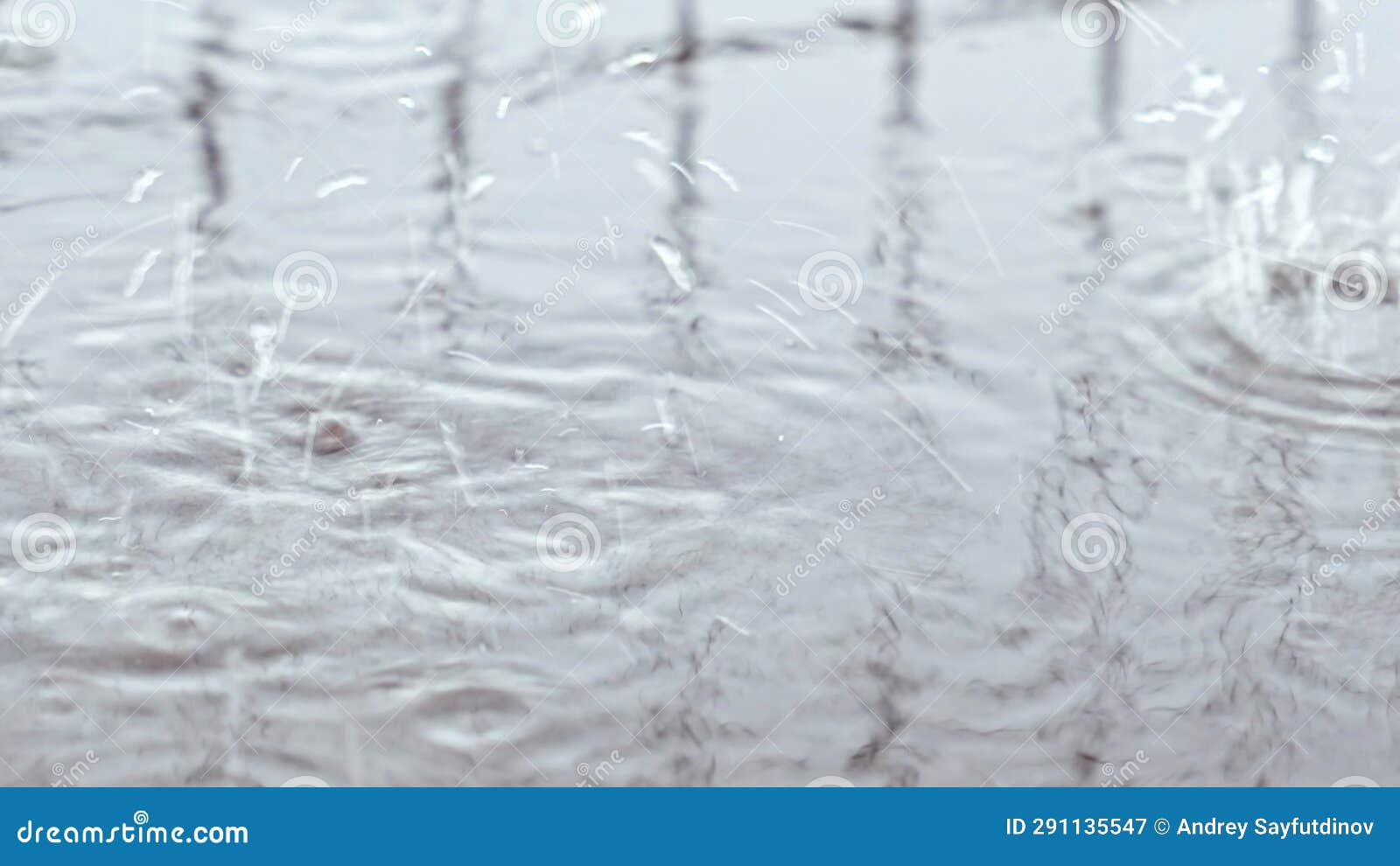 Drops of Rain Fall into the Puddle and Water is Sprayed. Stock Video ...