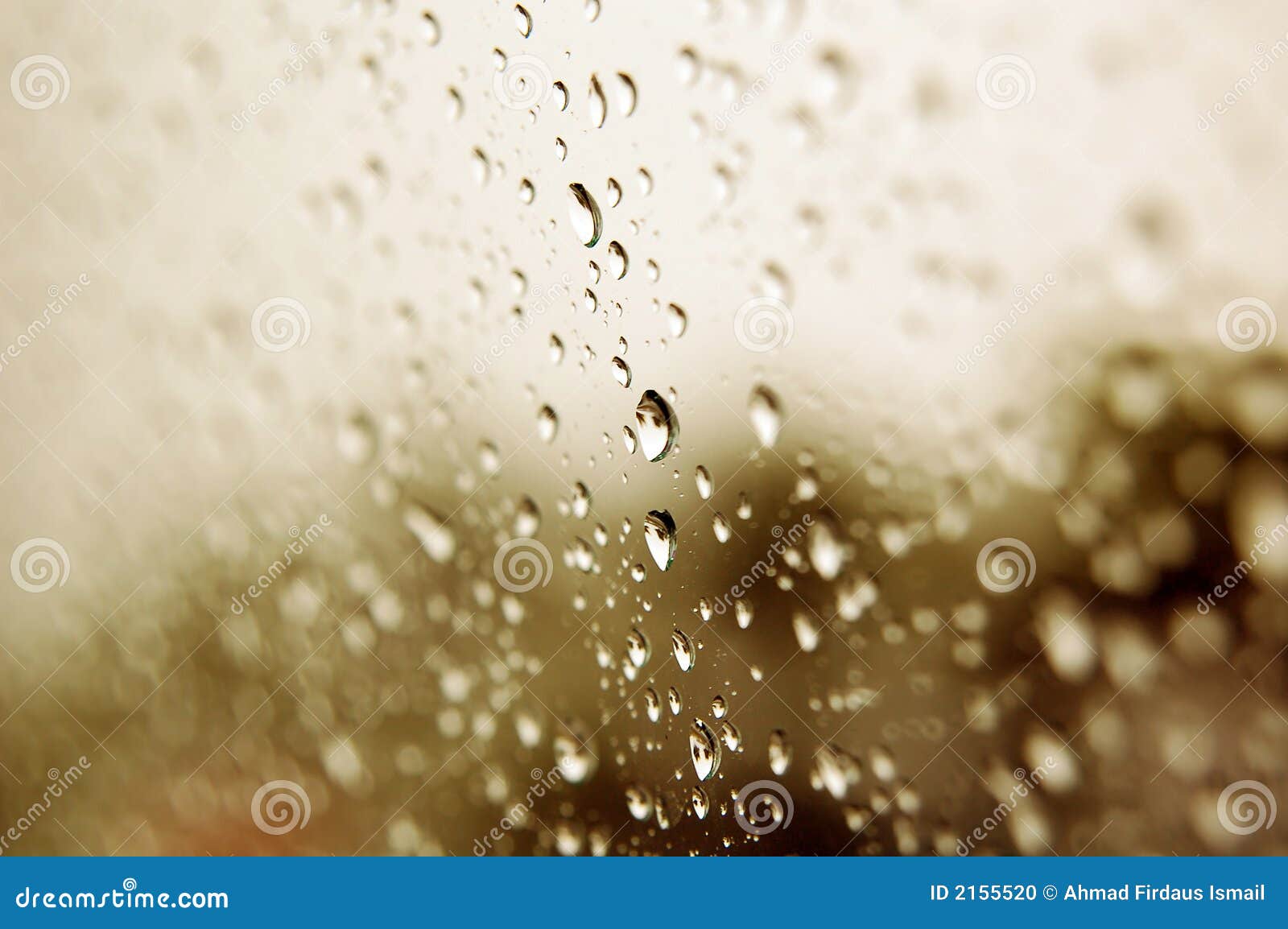 Drops of Rain Water stock photo. Image of raining, liquid - 2155520
