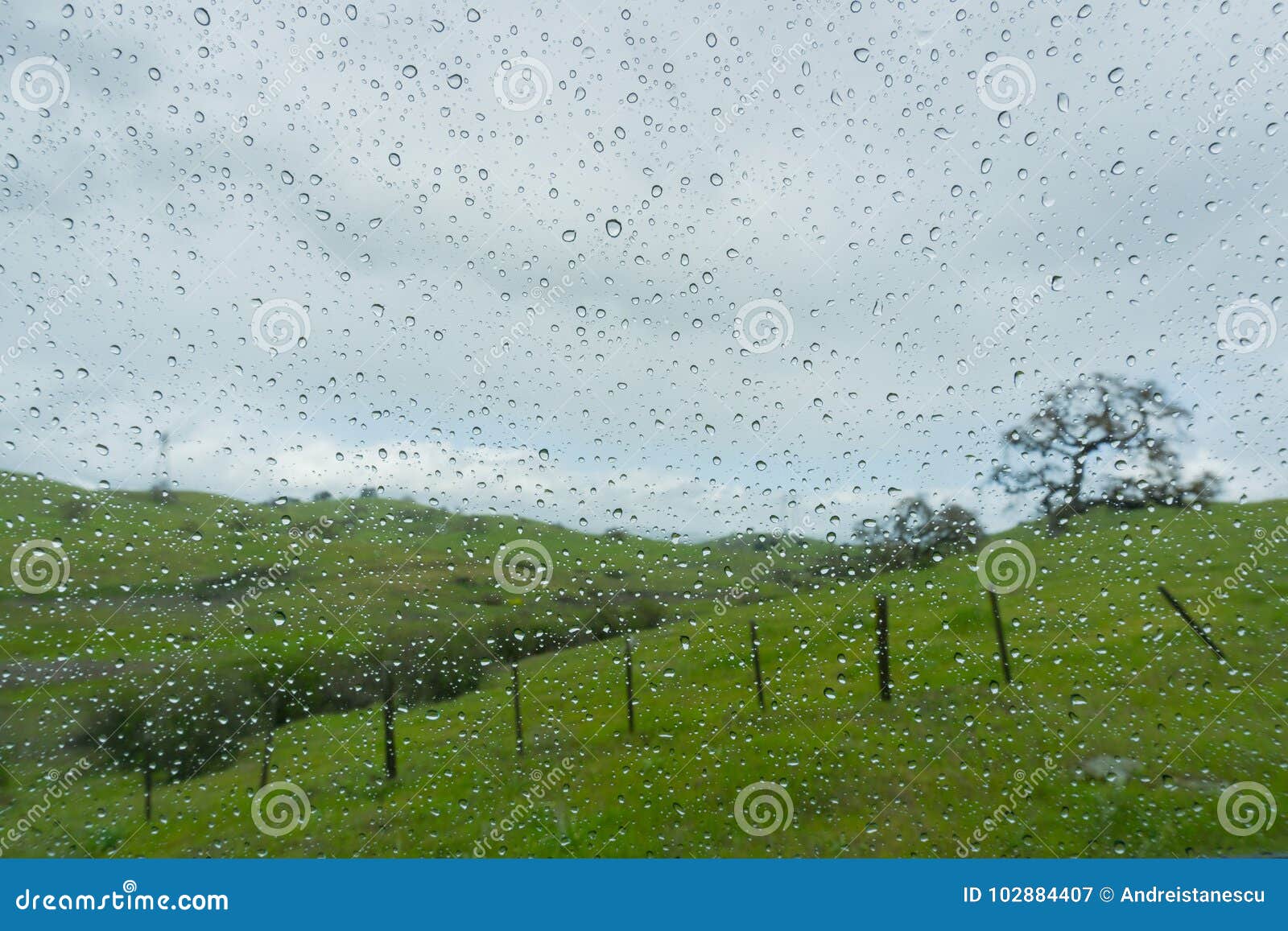 Drops of Rain on the Window; Blurred Green Meadows in the Background ...