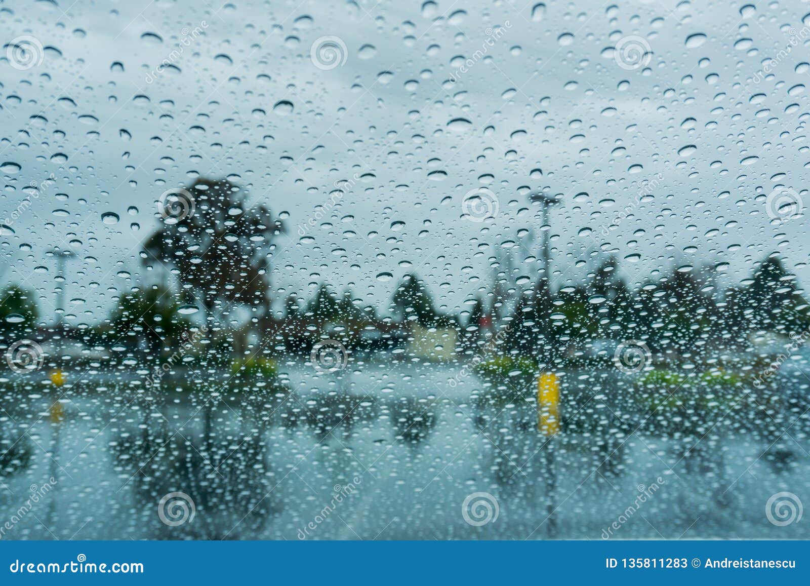 Drops of Rain on the Window; Blurred Trees in the Background; Shallow ...