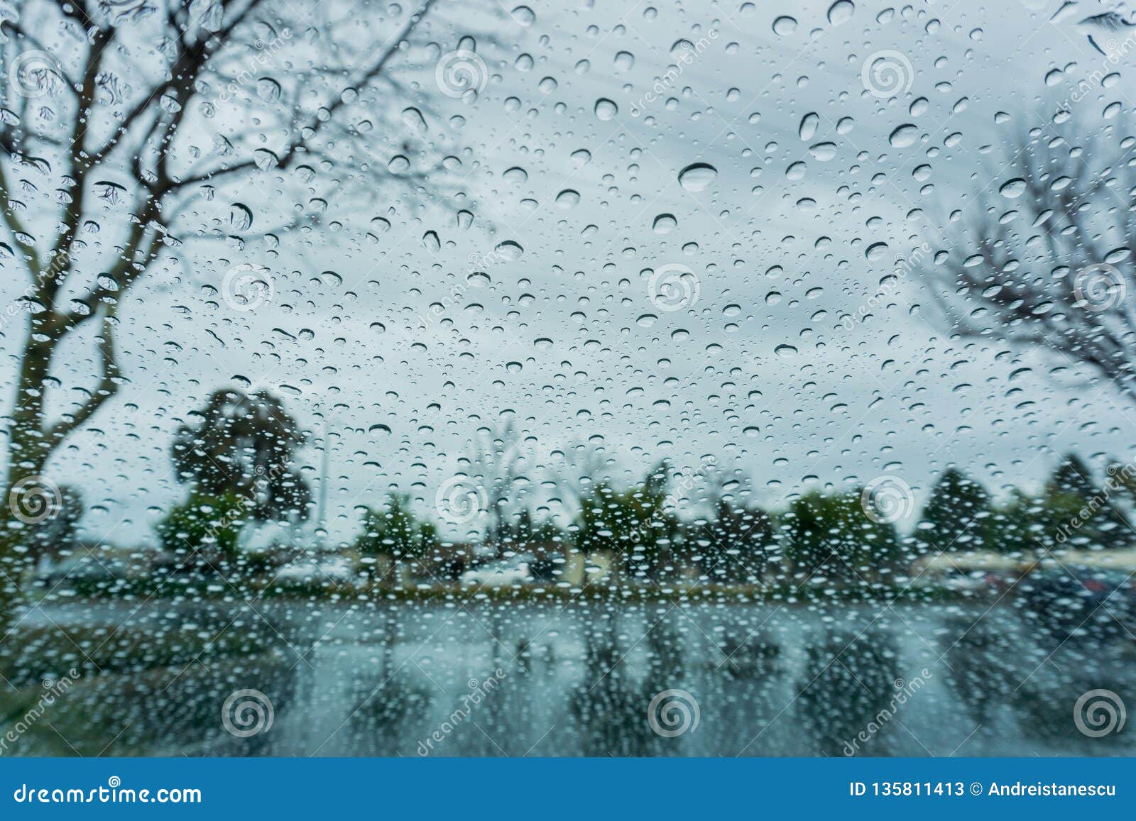 Drops of Rain on the Window; Blurred Trees in the Background; Shallow ...