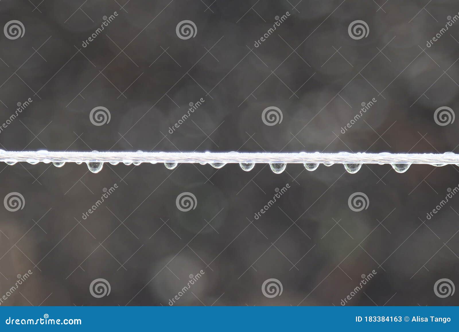 Drops of Rainwater on a Rope Stock Image - Image of background, drops ...