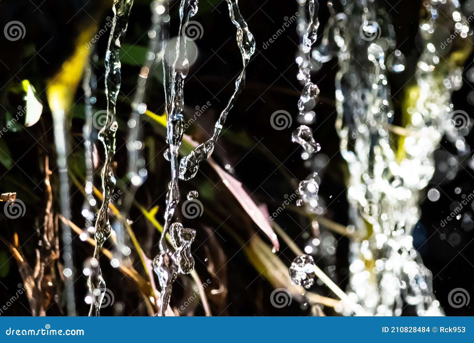 Drops of Splashing Water Raining Down on the Autumn Vegetation Stock ...
