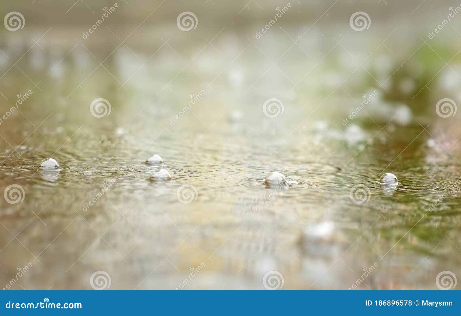 Drops of Summer Rain on Water. Texture with Bubbles in the Water Stock ...