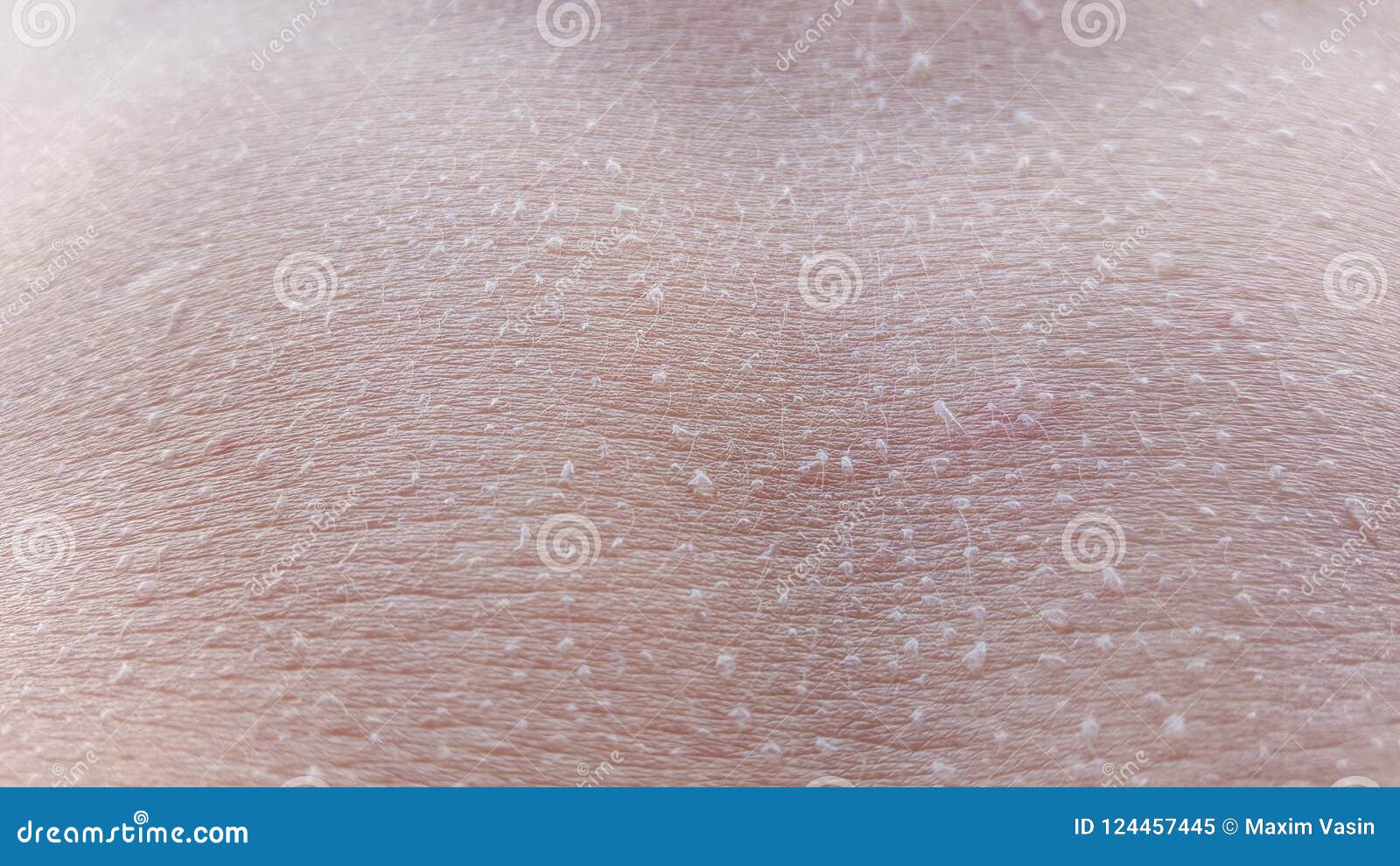 Drops of sweat on the skin stock image. Image of female - 124457445