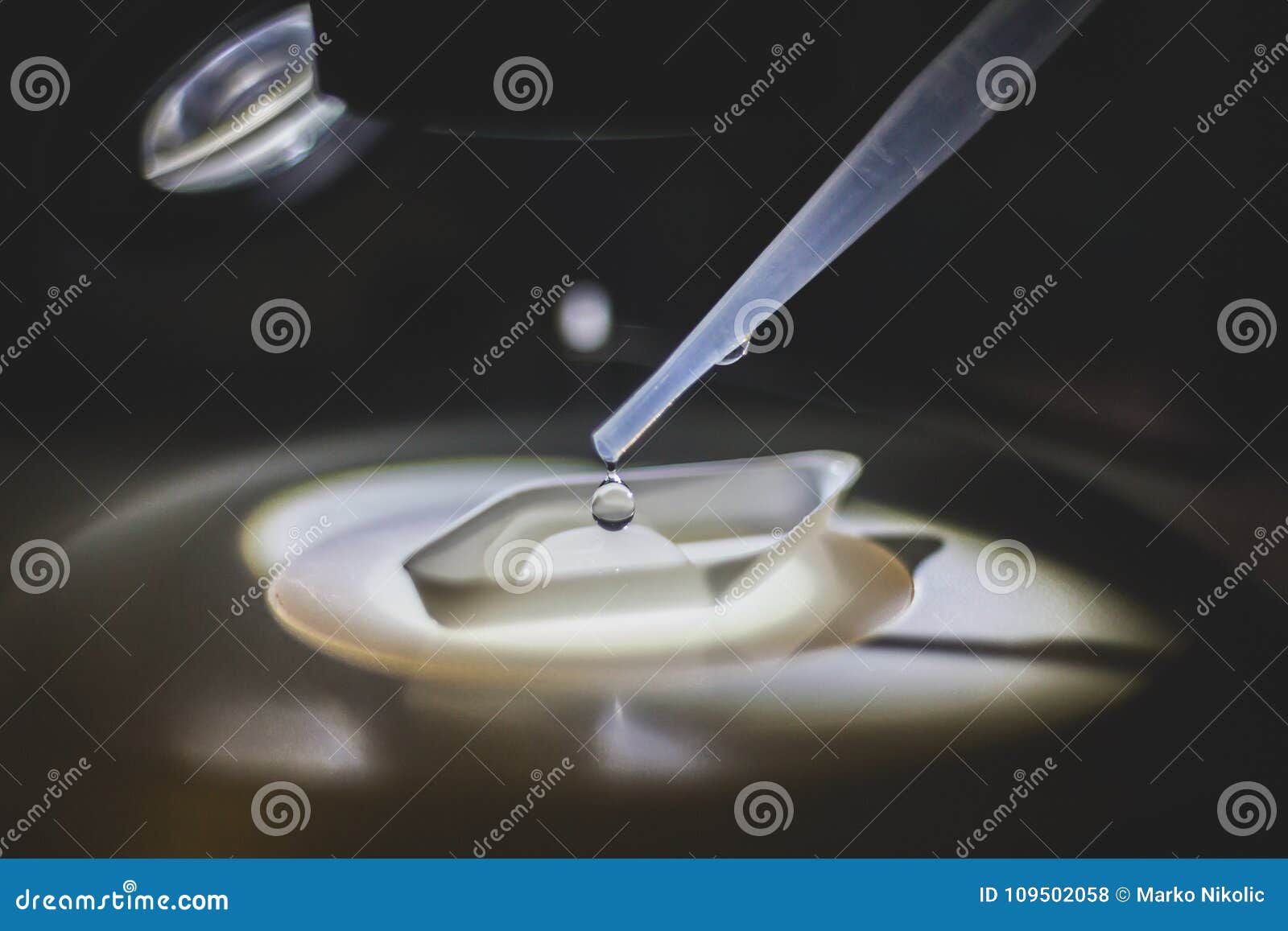 Drops Under the Microscope - Close Up View Stock Photo - Image of ...