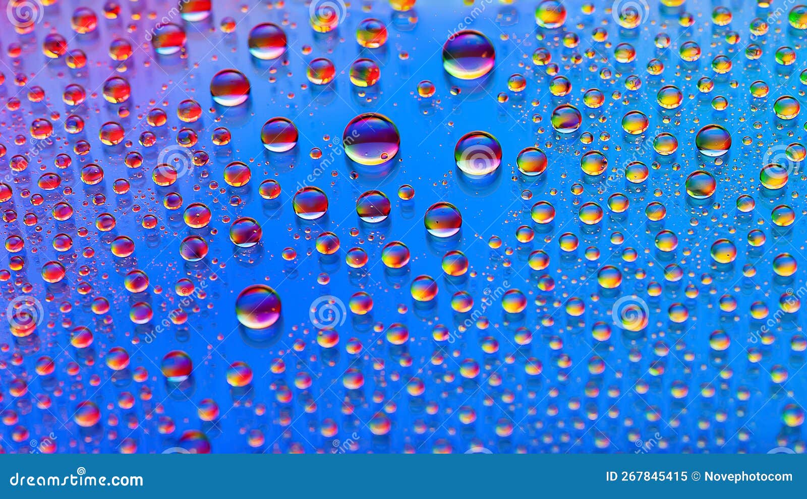 Drops of Water. Abstract Gradient Background. Texture of the Drops ...