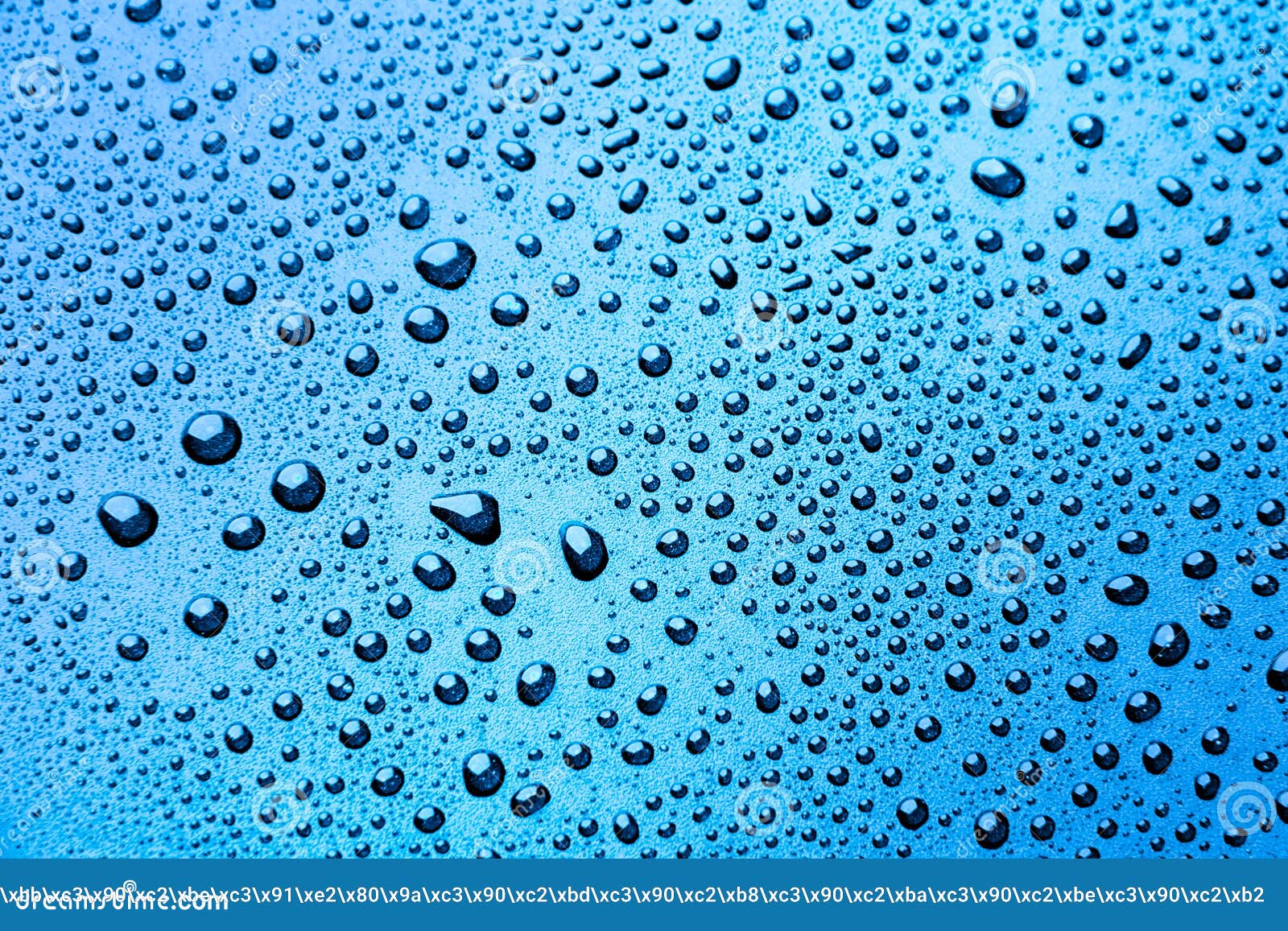 Drops of Water on a Color Background. Light Blue Stock Image - Image of ...