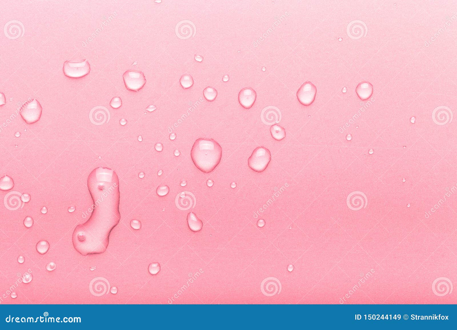 Drops of Water on a Color Background. Pink Stock Image - Image of color ...