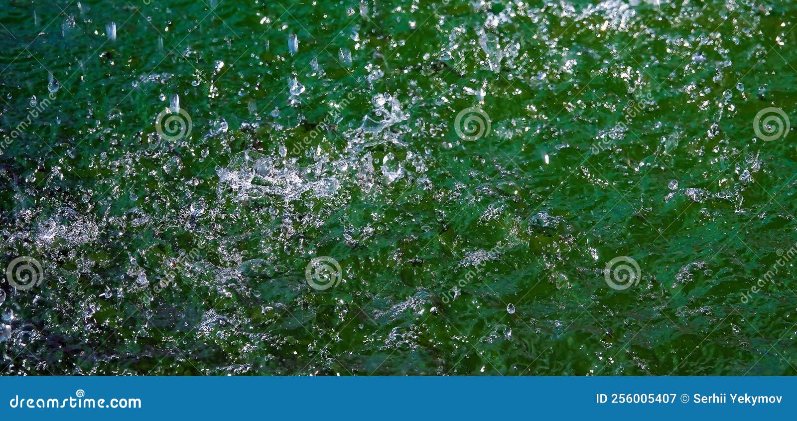 Drops of Water Fall into the Water Stock Image - Image of weather ...