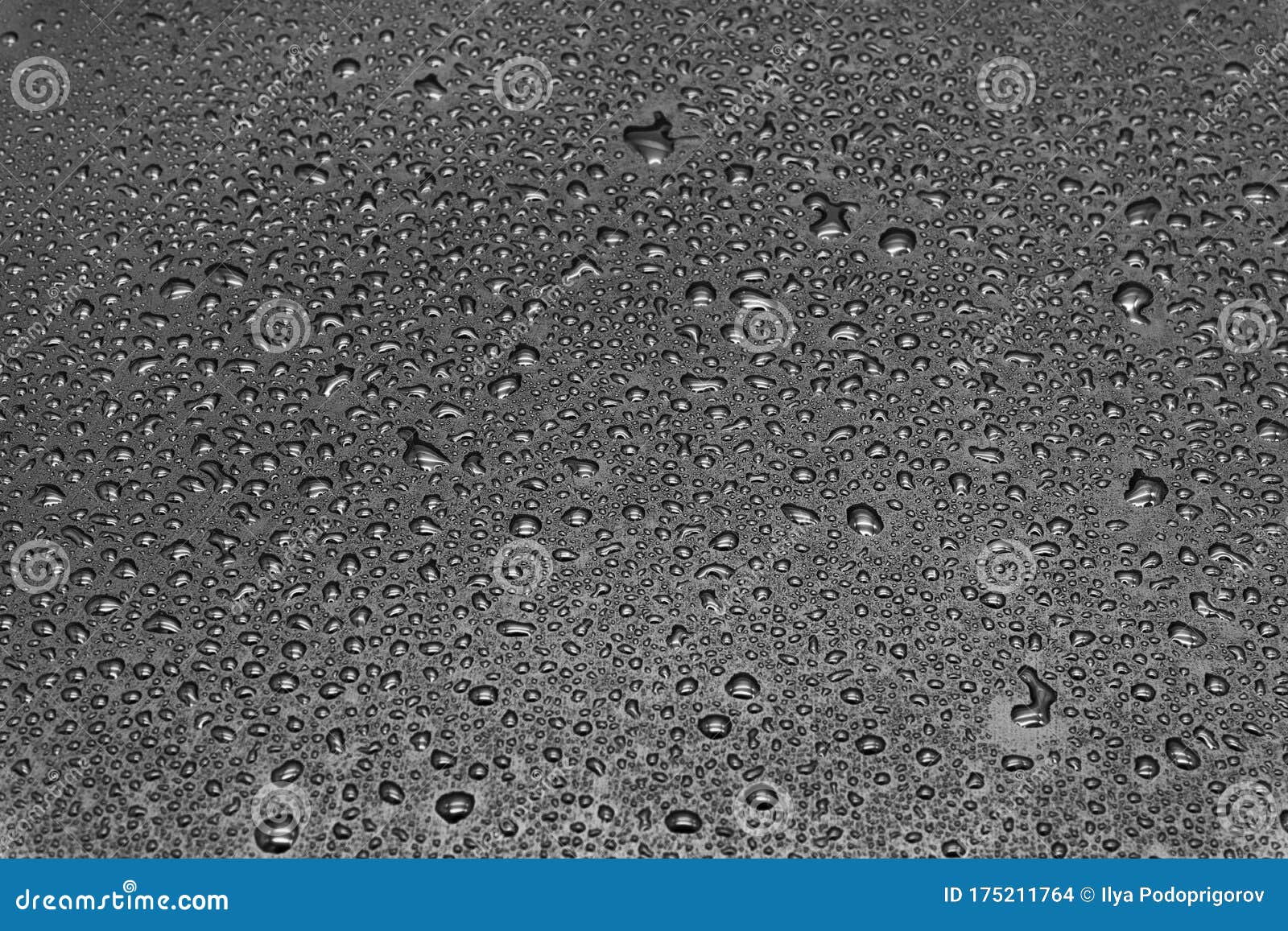 Drops of Water on a Gray Background, Texture Closeup Stock Photo ...