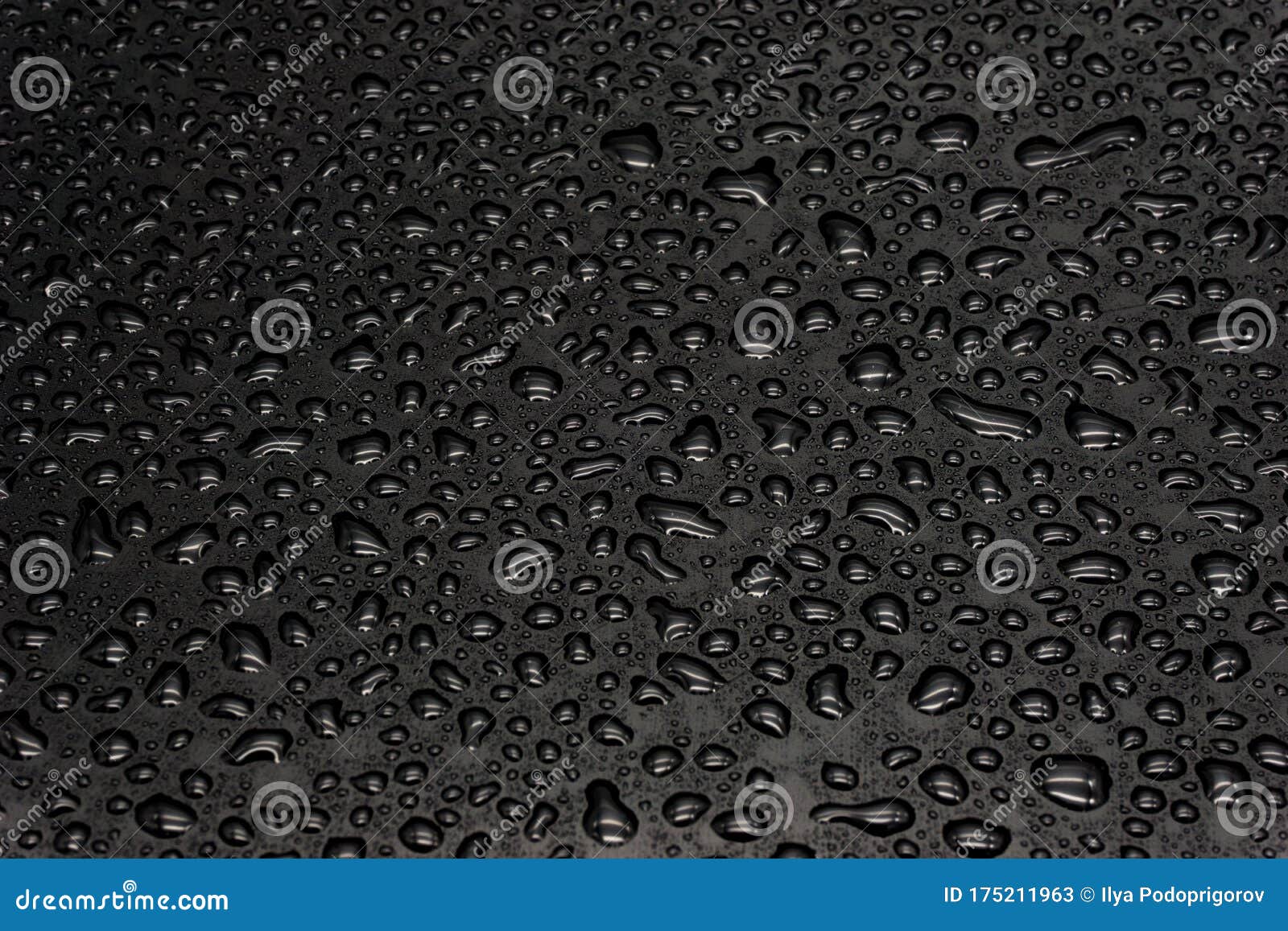 Drops of Water on a Gray Background, Texture Closeup Stock Image ...