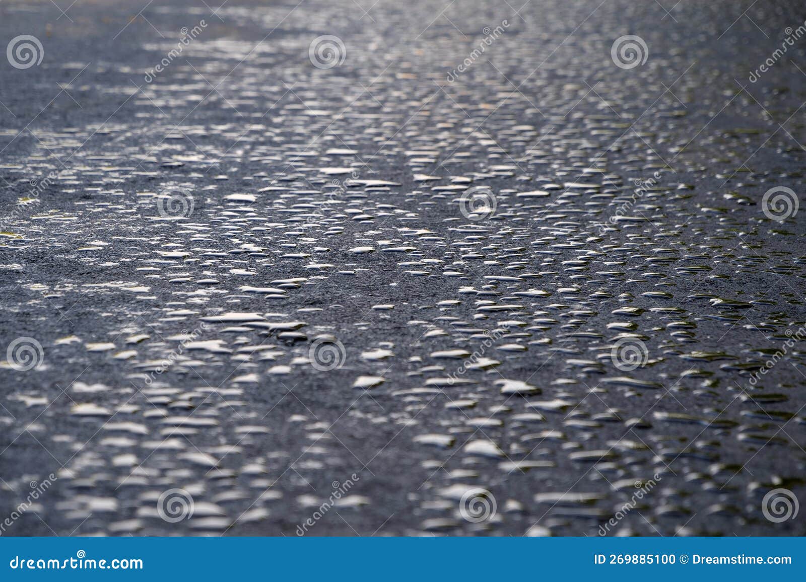Drops of Water Lies on the New Asphalt Road Stock Photo - Image of ...