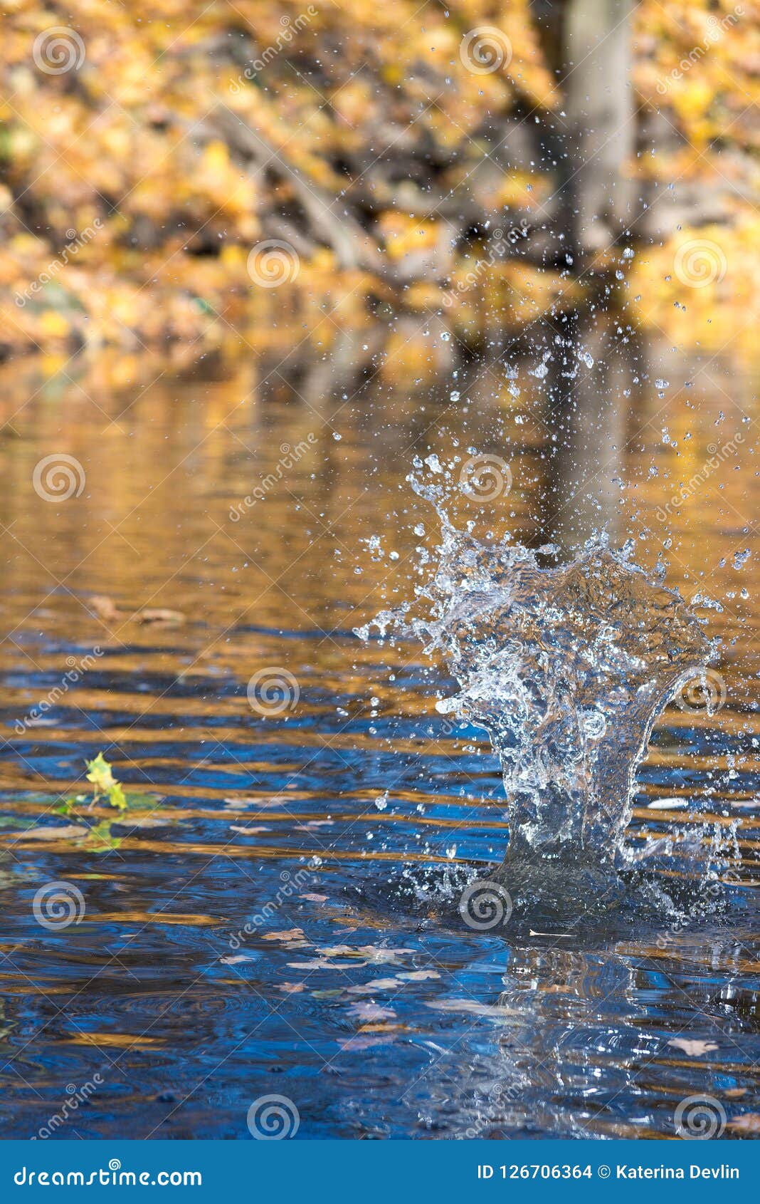 Drops of Water Over Water Surface. Stock Photo - Image of capture ...