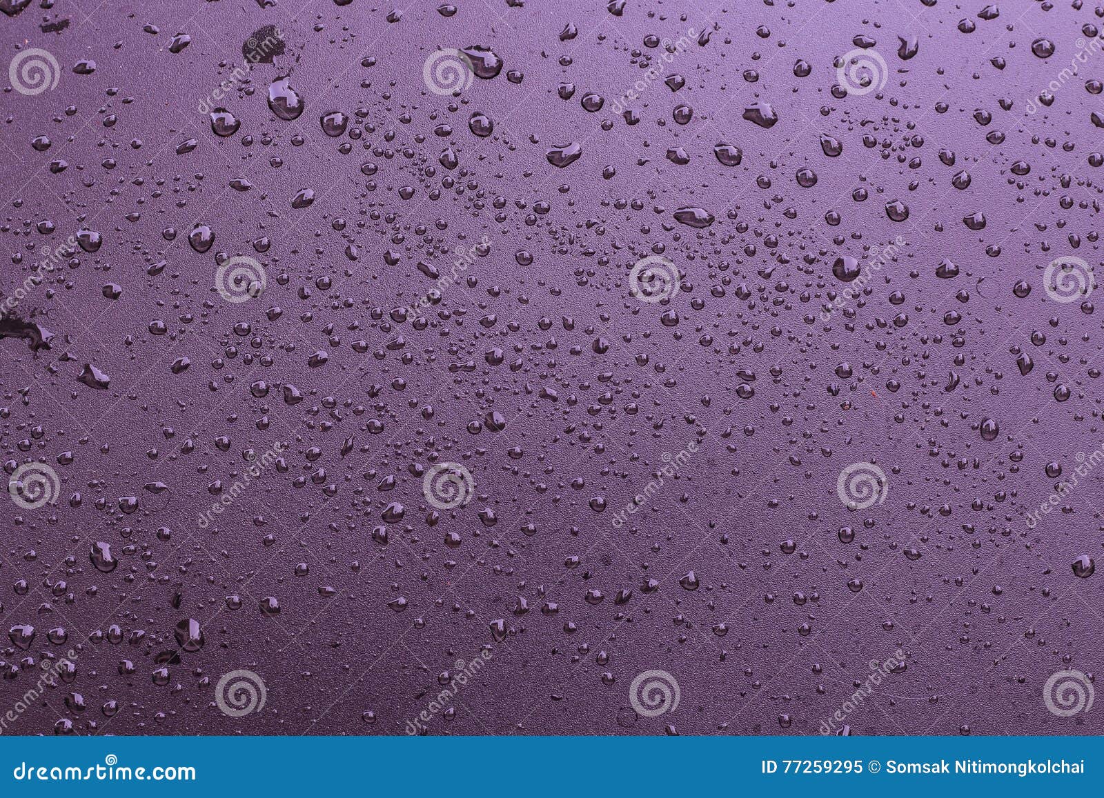 Drops of Water on a Plastic Sheet Stock Image - Image of surface ...