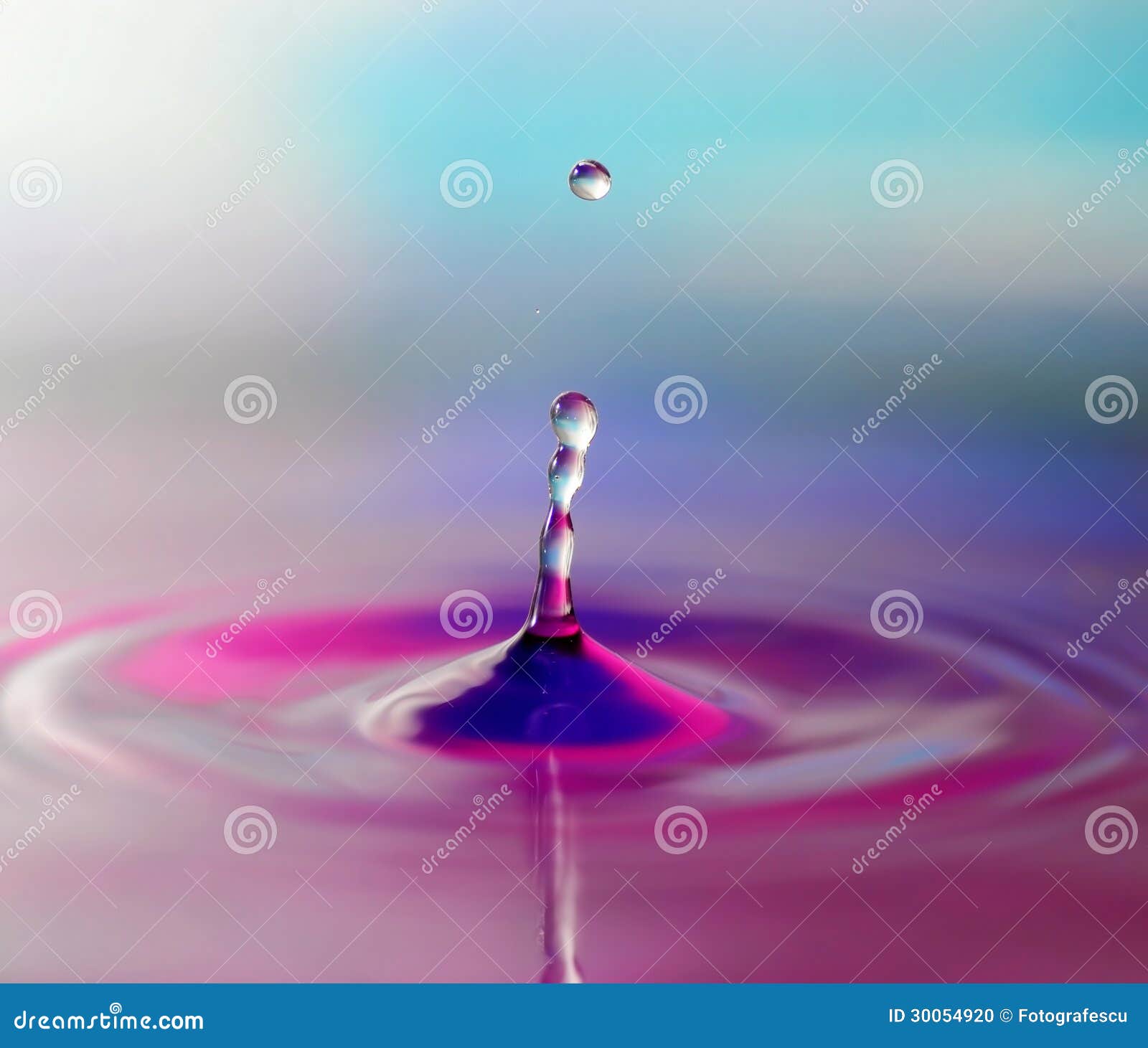 Water drops bounce stock photo. Image of circular, reflection - 30054920