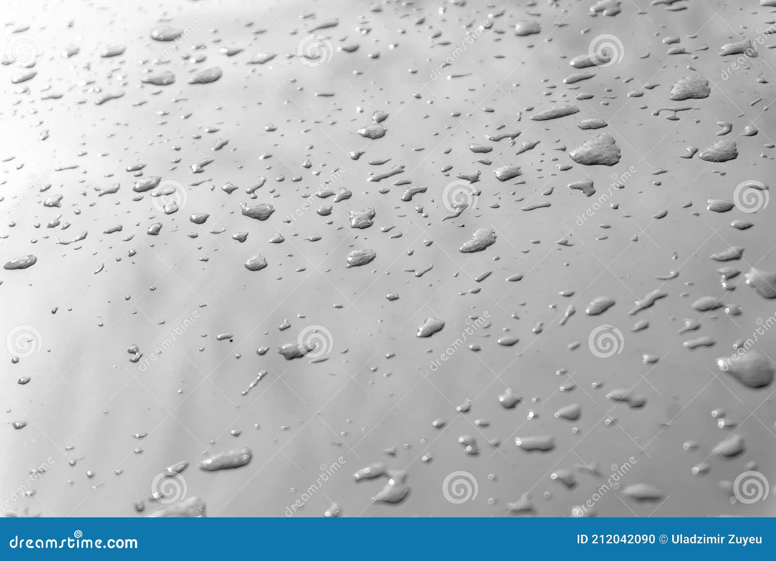 Drops of Water or Rain on a Light Smooth Surface with Reflection. Wet ...