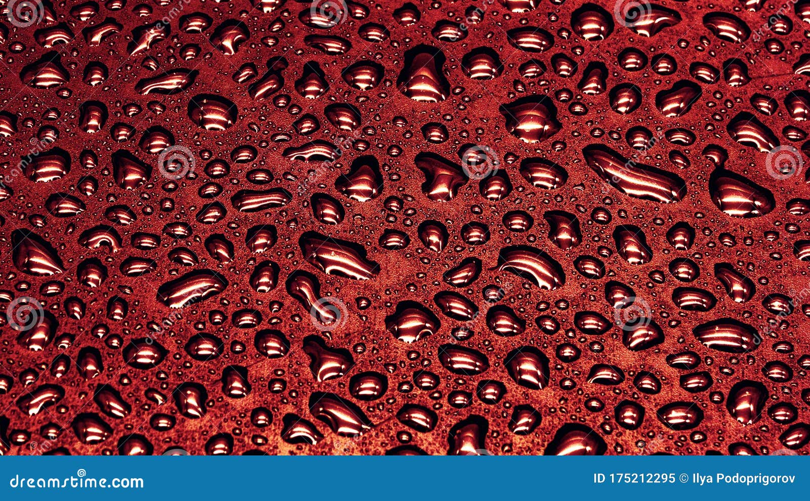 Drops of Water on a Red Background, Texture Closeup Stock Image - Image ...
