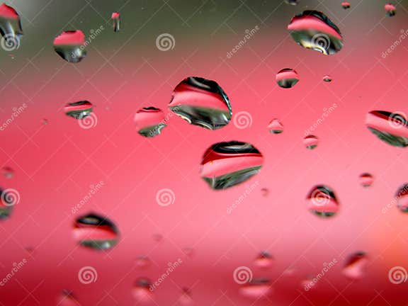 Drops of Water - Sharp Macro Stock Photo - Image of close, drops: 230
