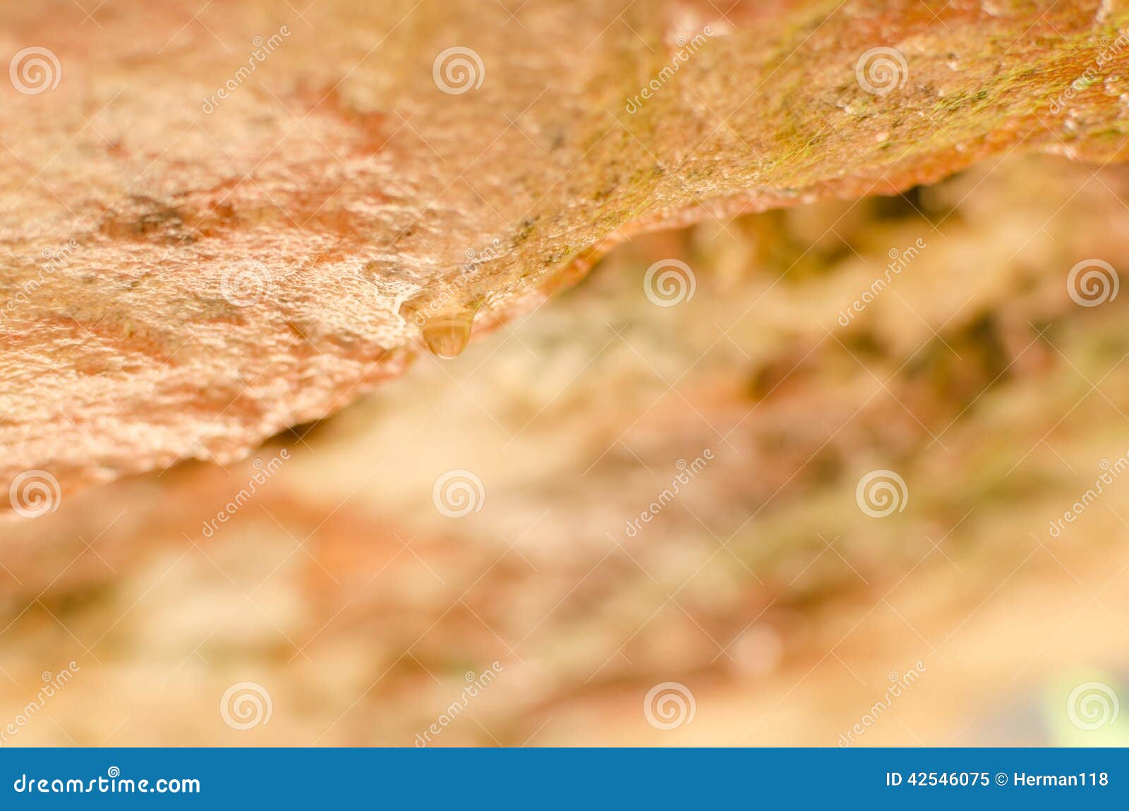 Drops of Water on the Underside Rocks Stock Image - Image of drop ...