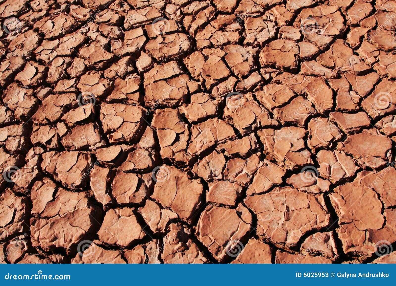 Drough stock image. Image of global, desert, famine, brown - 6025953