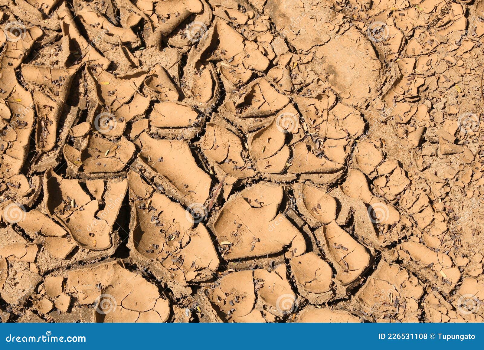 Drough texture stock photo. Image of cracks, palawan - 226531108