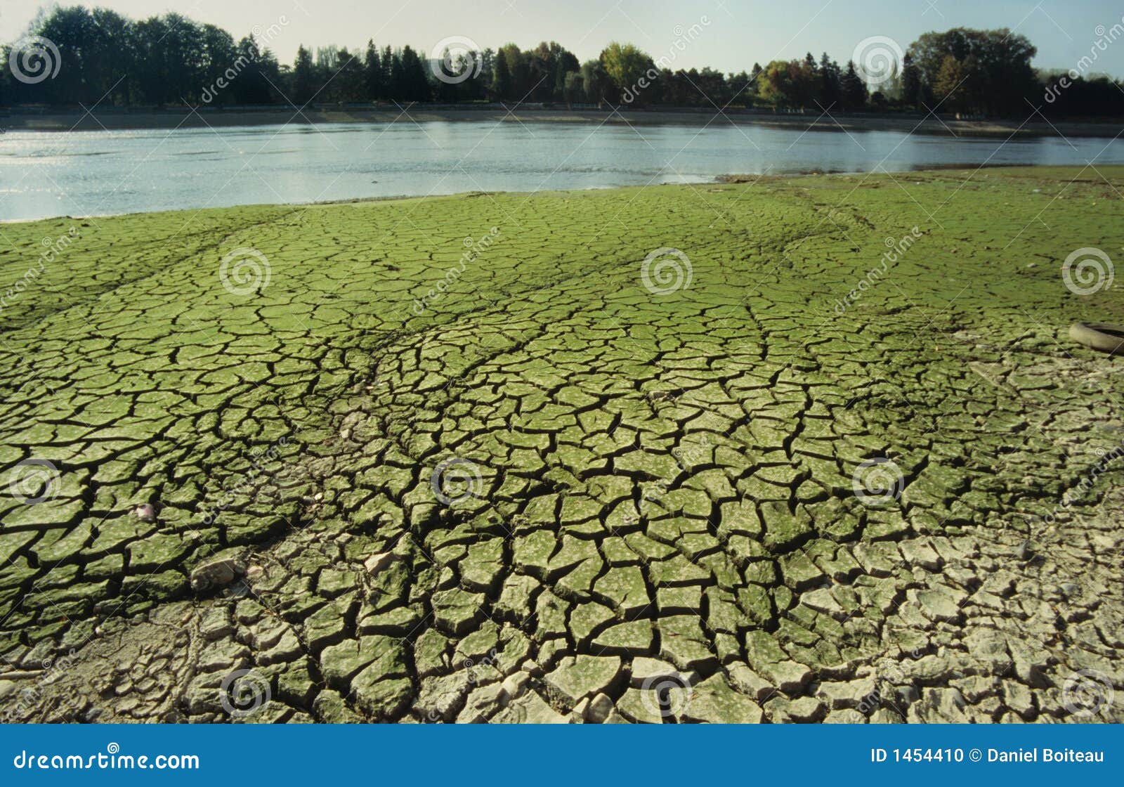 Drought stock photo. Image of cracked, dried, river, rain - 1454410