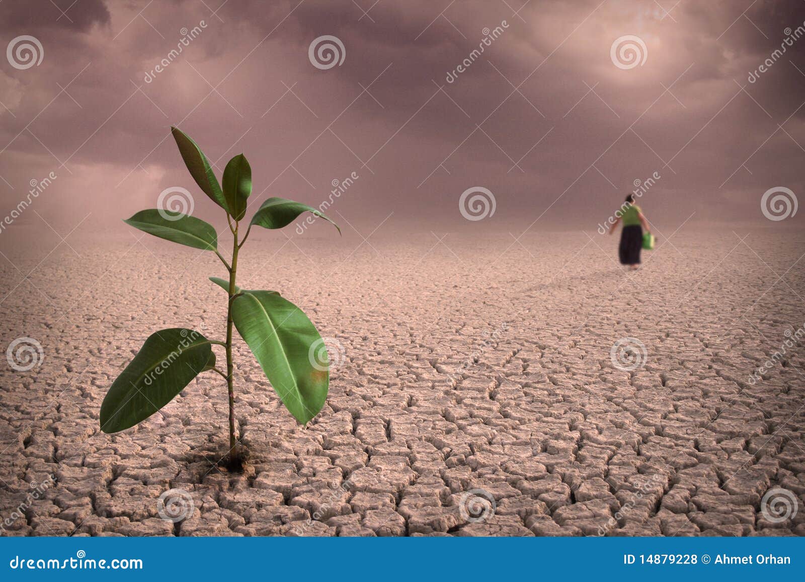 Drought stock photo. Image of woman, green, drought, waterless - 14879228