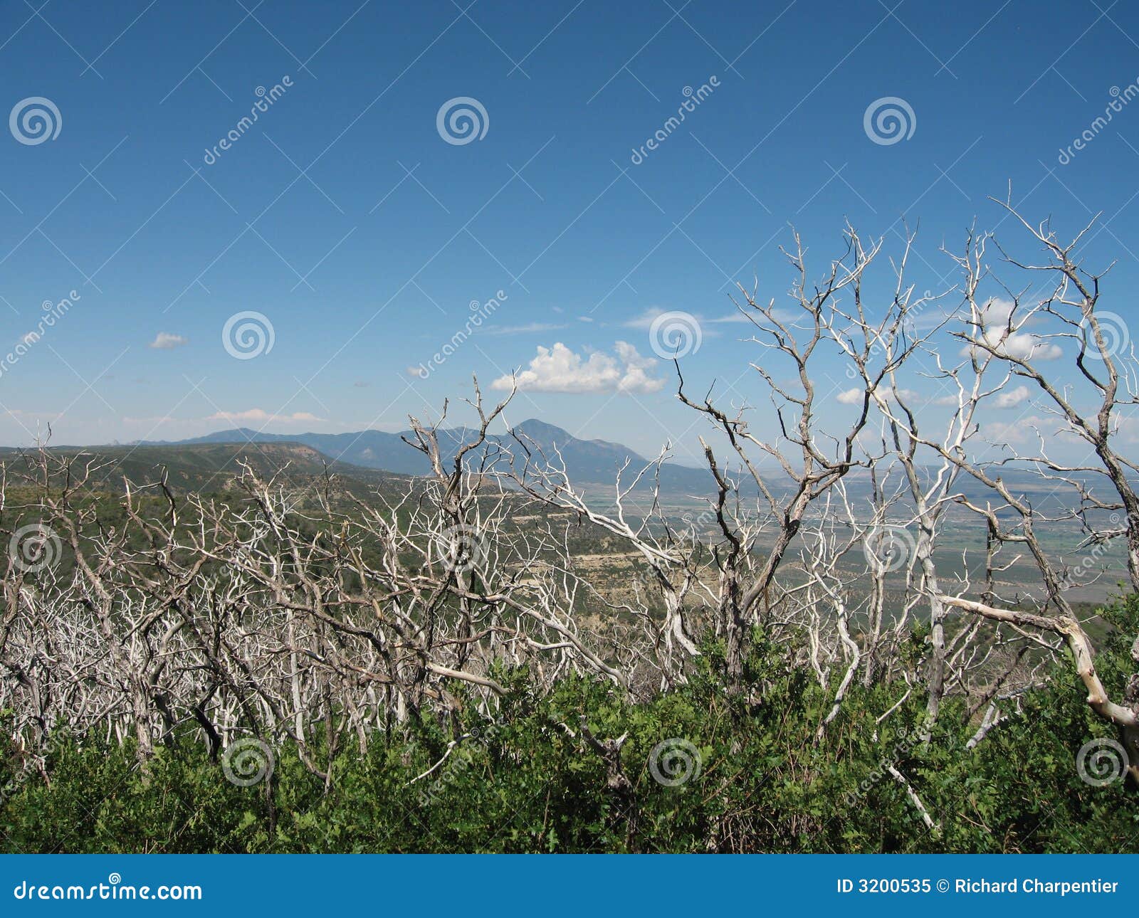 Drought Picture. Image: 3200535