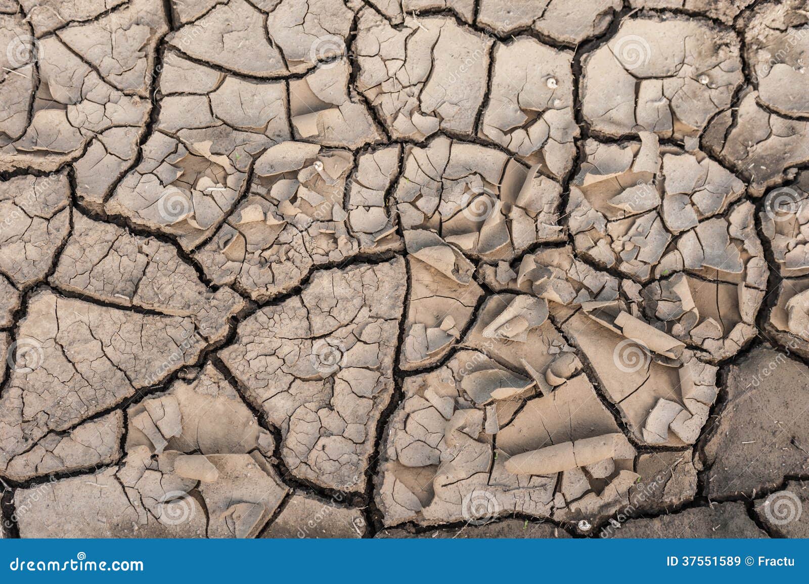 Drought stock image. Image of drought, background, farm - 37551589