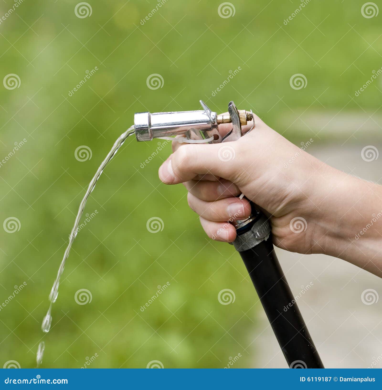 Drought stock image. Image of culture, gardening, ornamental - 6119187