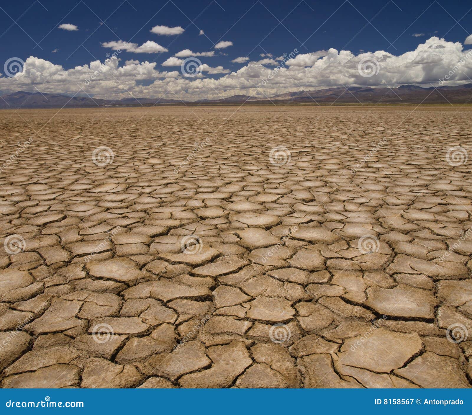 Drought stock image. Image of global, barren, environment - 8158567
