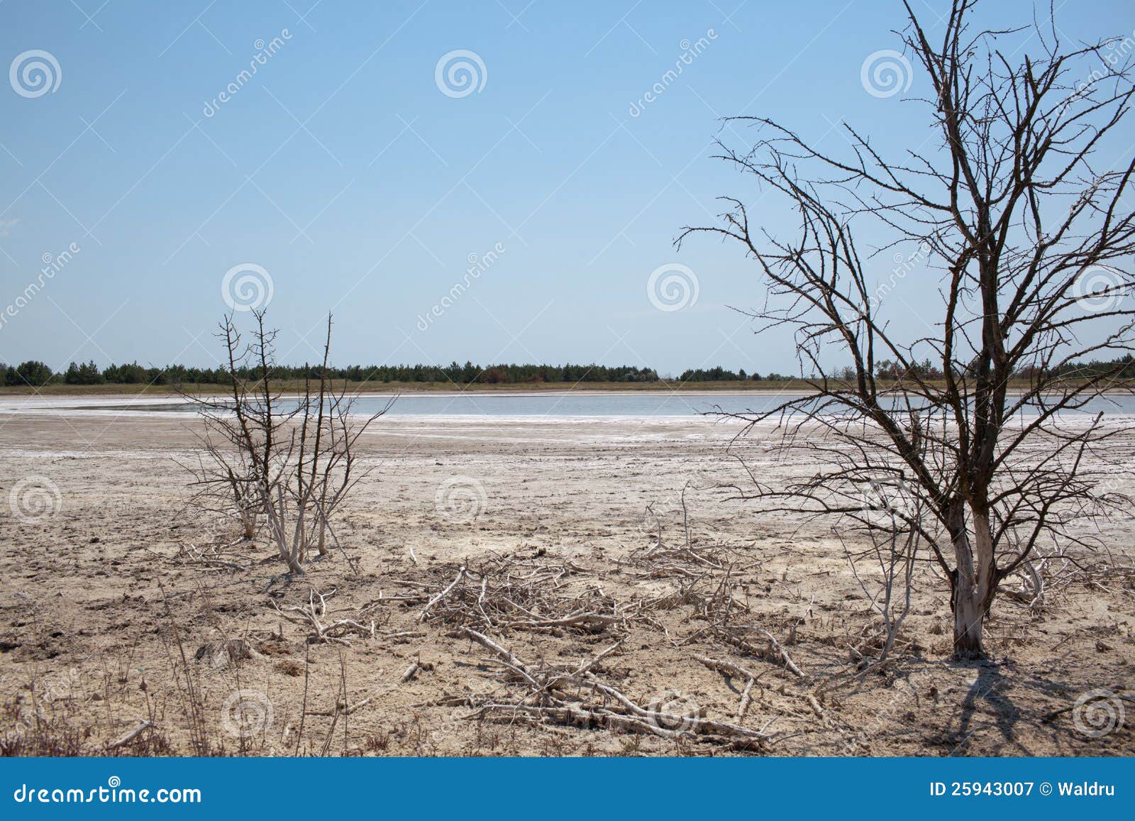 Drought affected land stock image. Image of clear, plant - 25943007