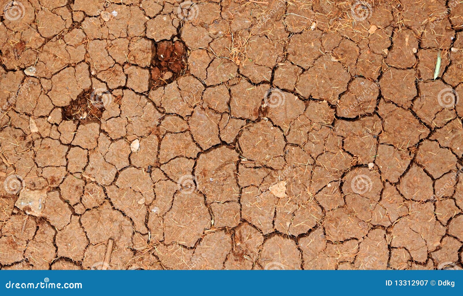 Drought Background stock image. Image of desolation, ecology - 13312907
