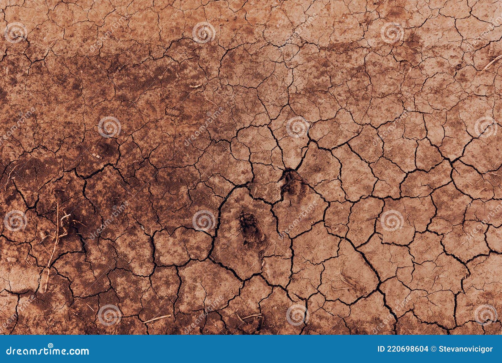 Drought Background, Top View of Dry Earth Soil Texture Stock Photo ...