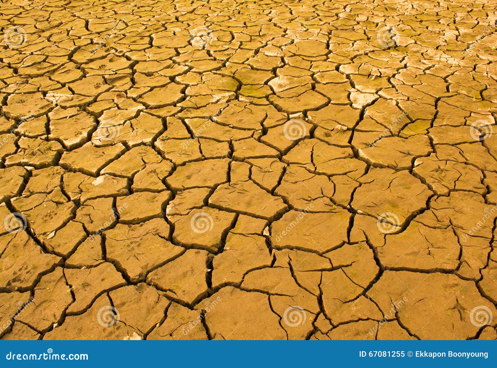 Drought. Backgrounds stock image. Image of change, environmental - 67081255