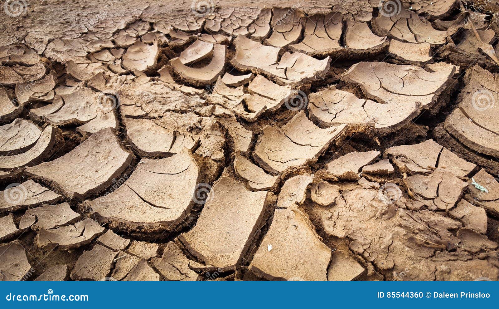 Drought brown mud stock photo. Image of drought, sand - 85544360